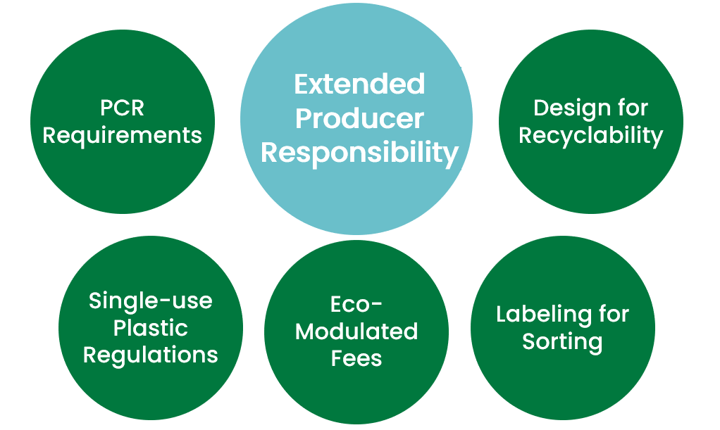 Lorax EPI's recent workshop on global packaging EPR developments - Lorax EPI